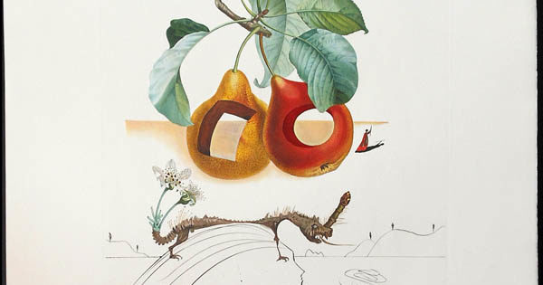 Salvador Dali Fruits Trouees is currently available. Call.