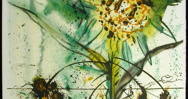 Salvador Dali Sun Goddess Flower at the Lockport Street Gallery.